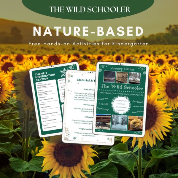 What is a Forest School? - The Wild Schooler